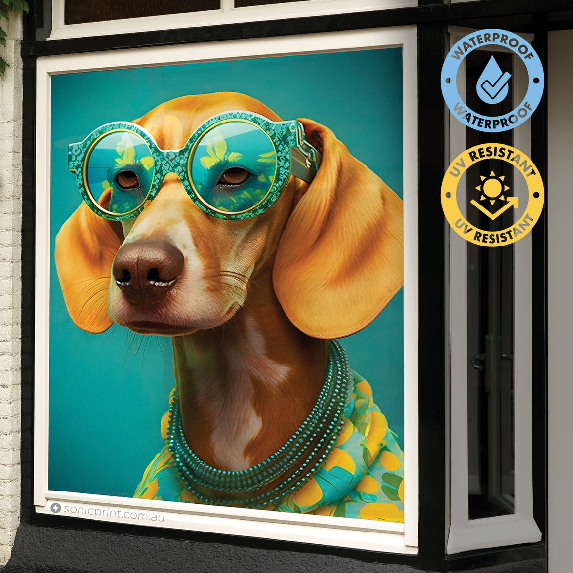 Custom Window Decal & Glass Sticker Printing in Castle Hill | Sonic Print